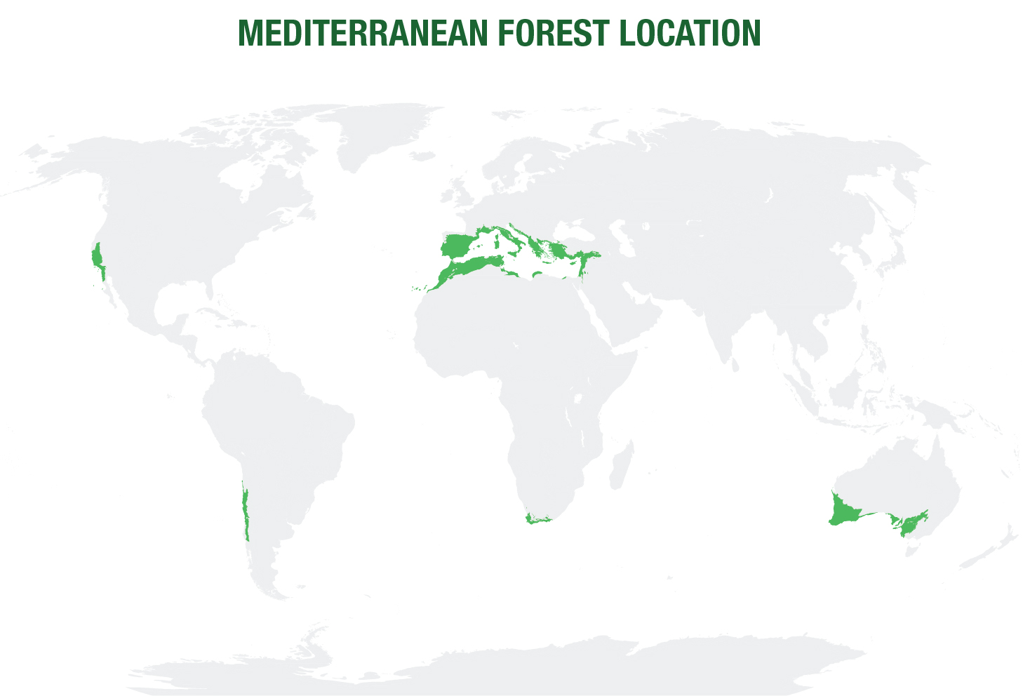 Mediterranean forest - Mediterranean Forest
